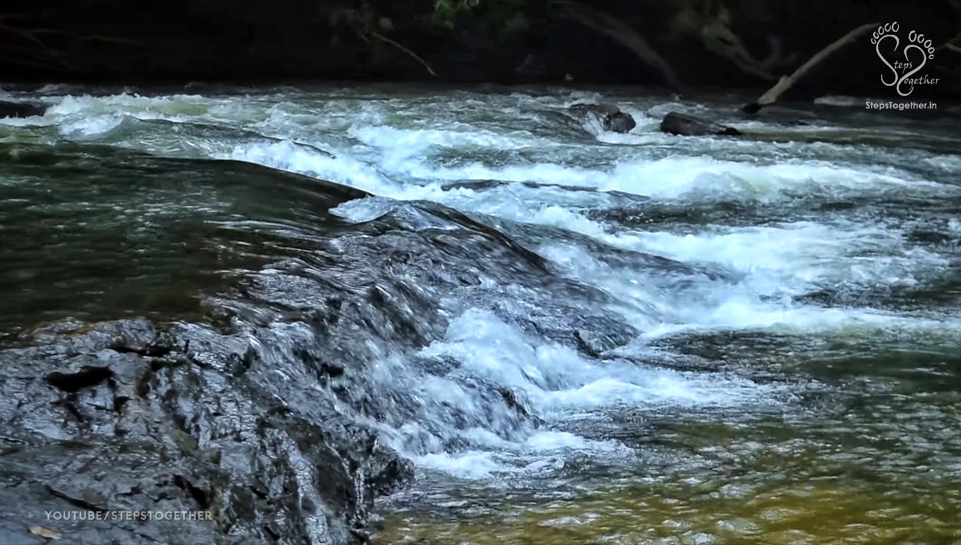 Kaveri Nisargadhama - Steps Together - Explore with us