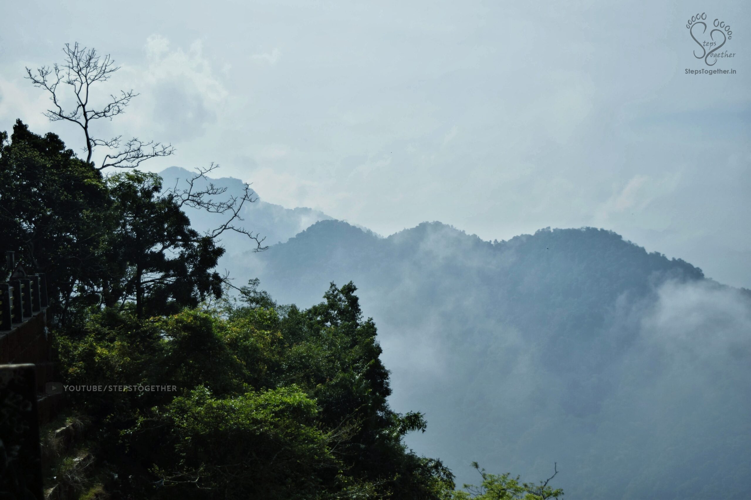 Lakkidi Viewpoint & Chain tree - Steps Together - Explore with us