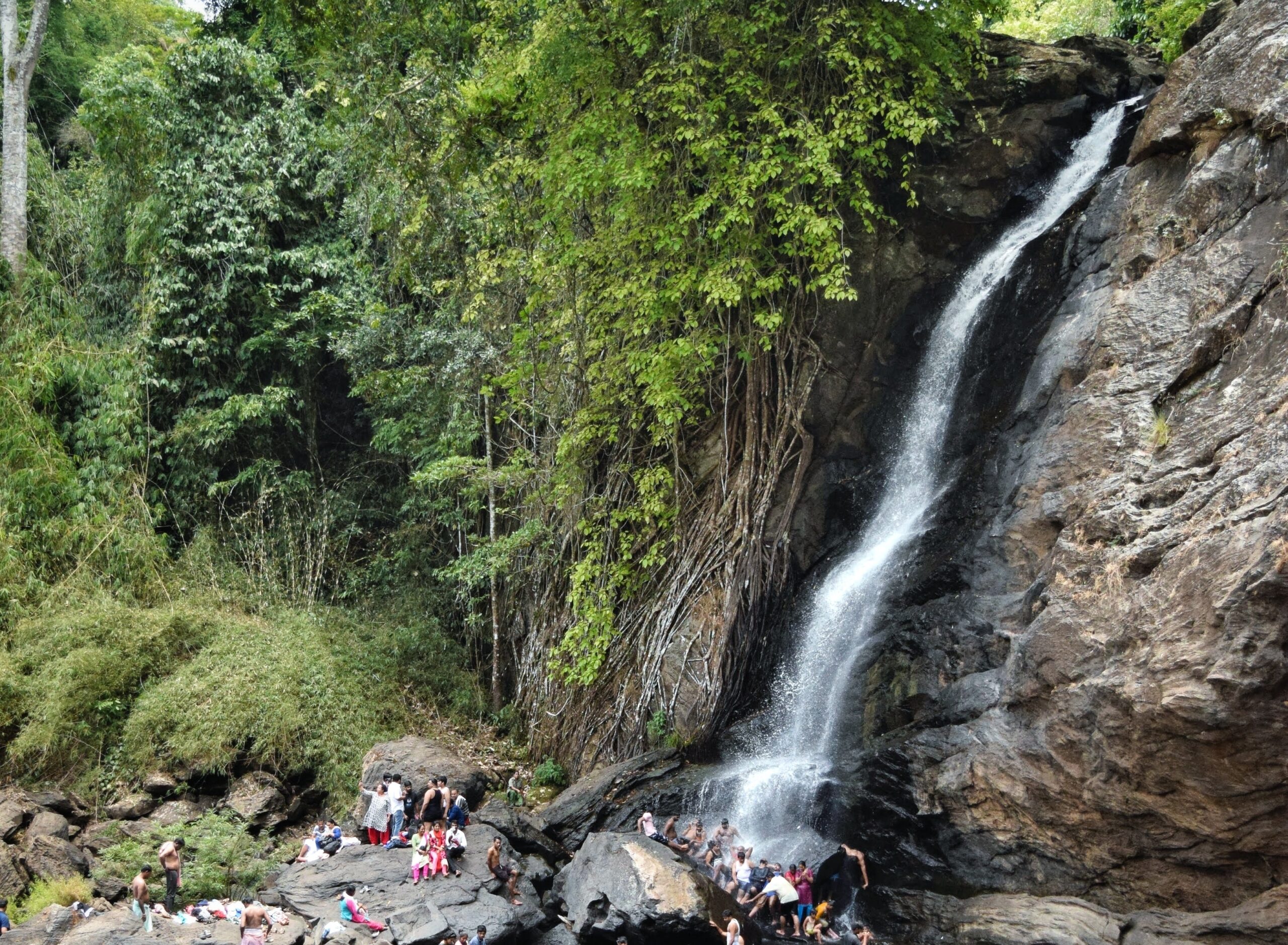 Soochipara Waterfalls - Wayanad Roadtrip | Steps Together